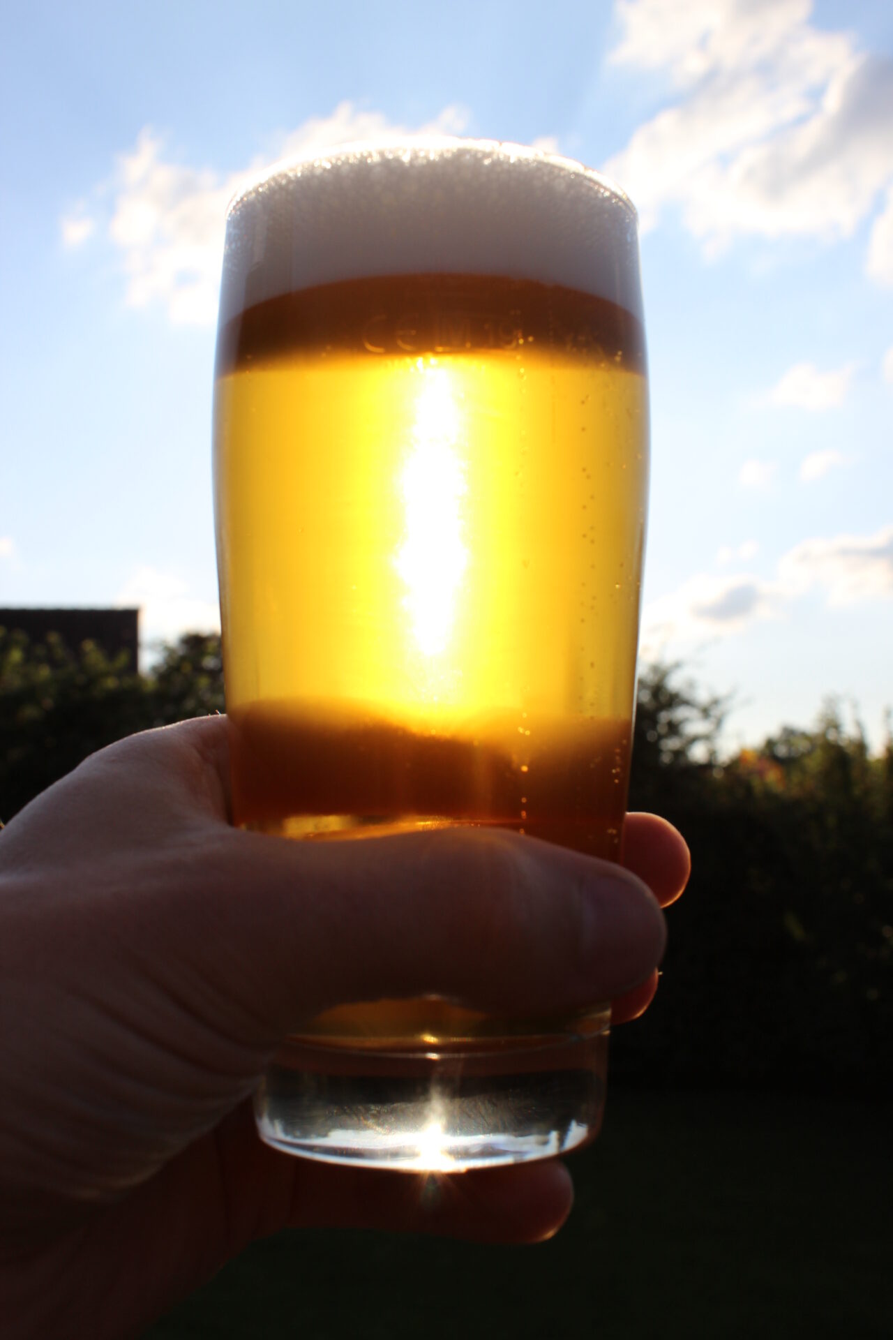 Pils Rezept - Pils für Ascheberg