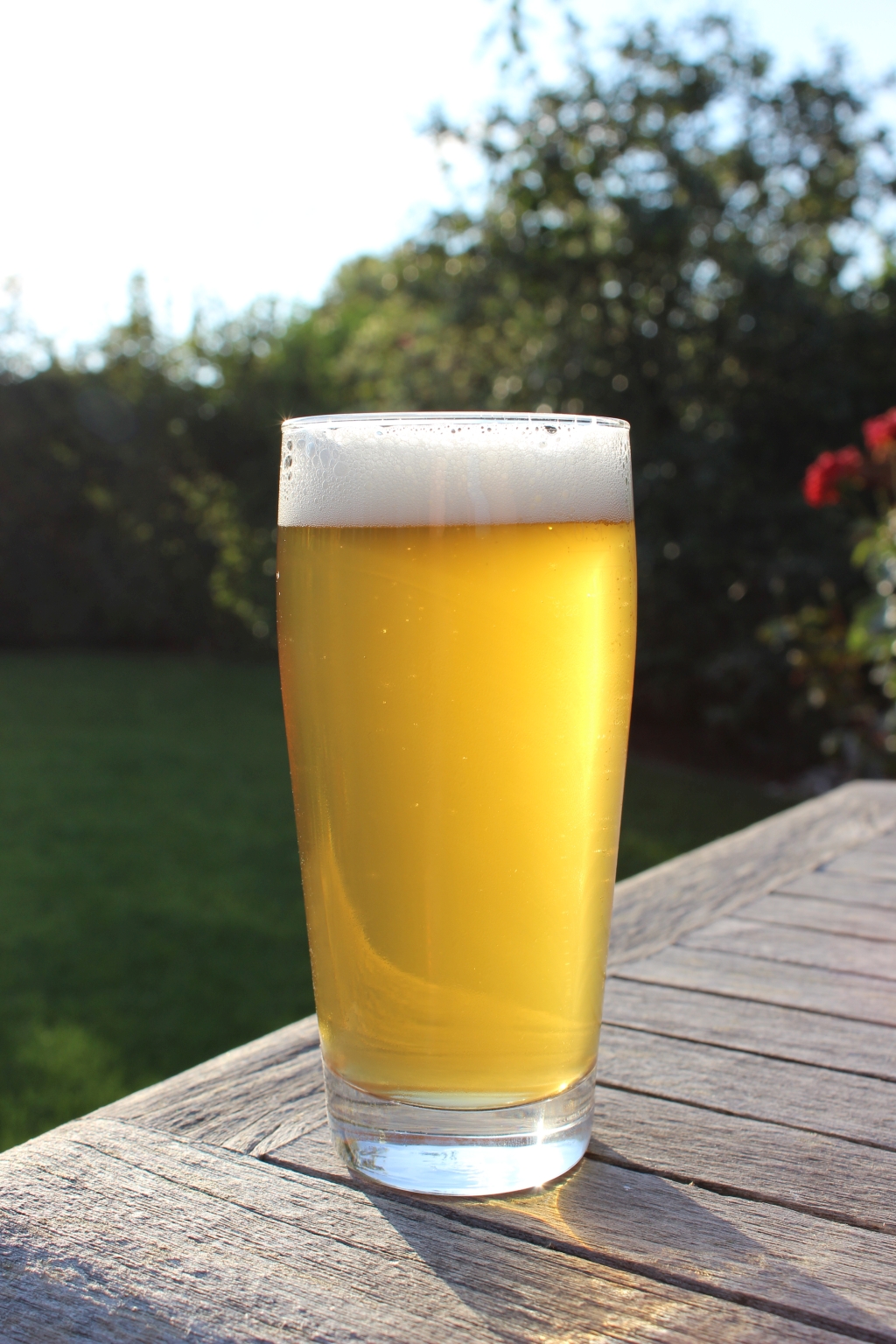 Pils Rezept - Pils für Ascheberg