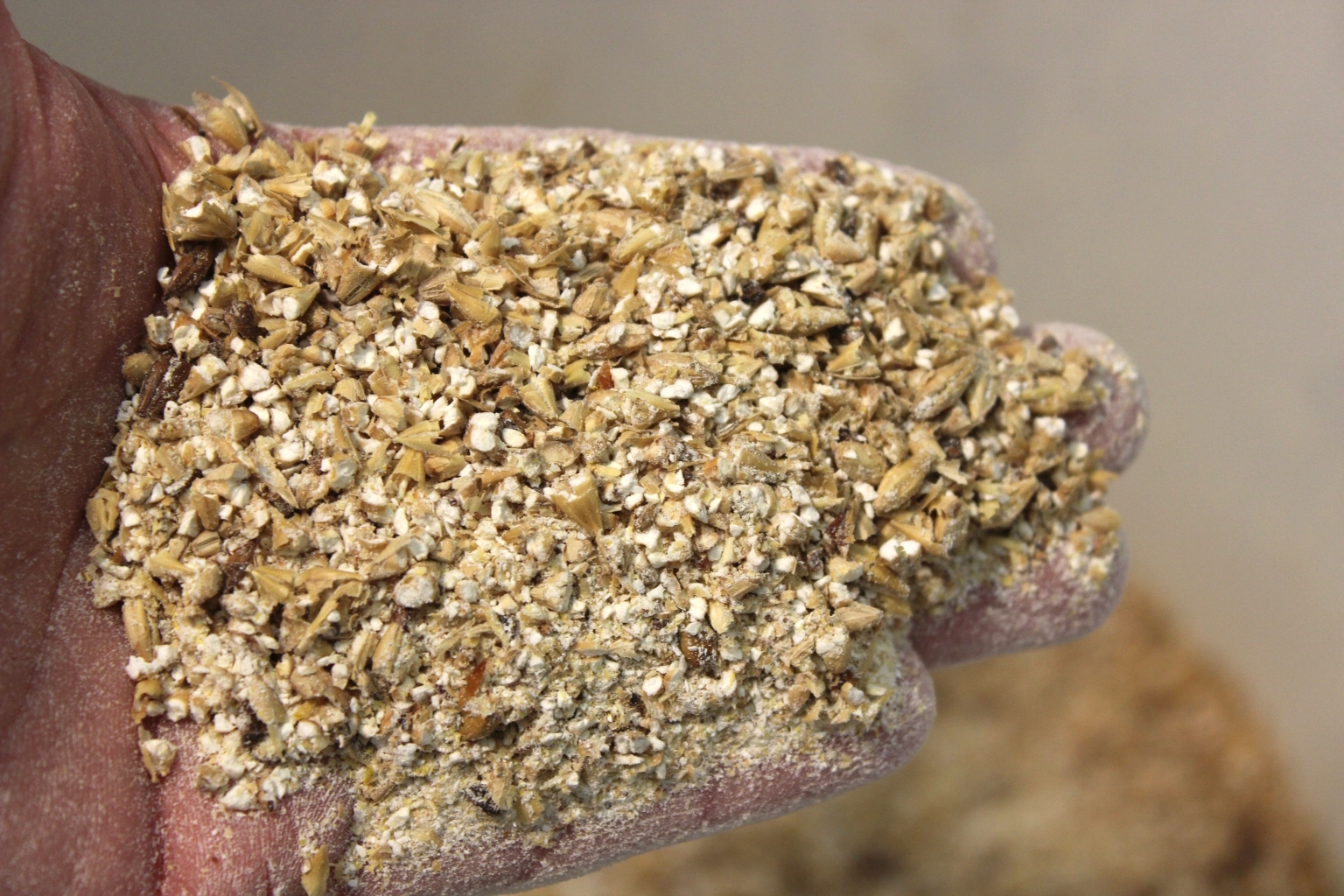 Wie du dein Malz richtig lagern kannst!