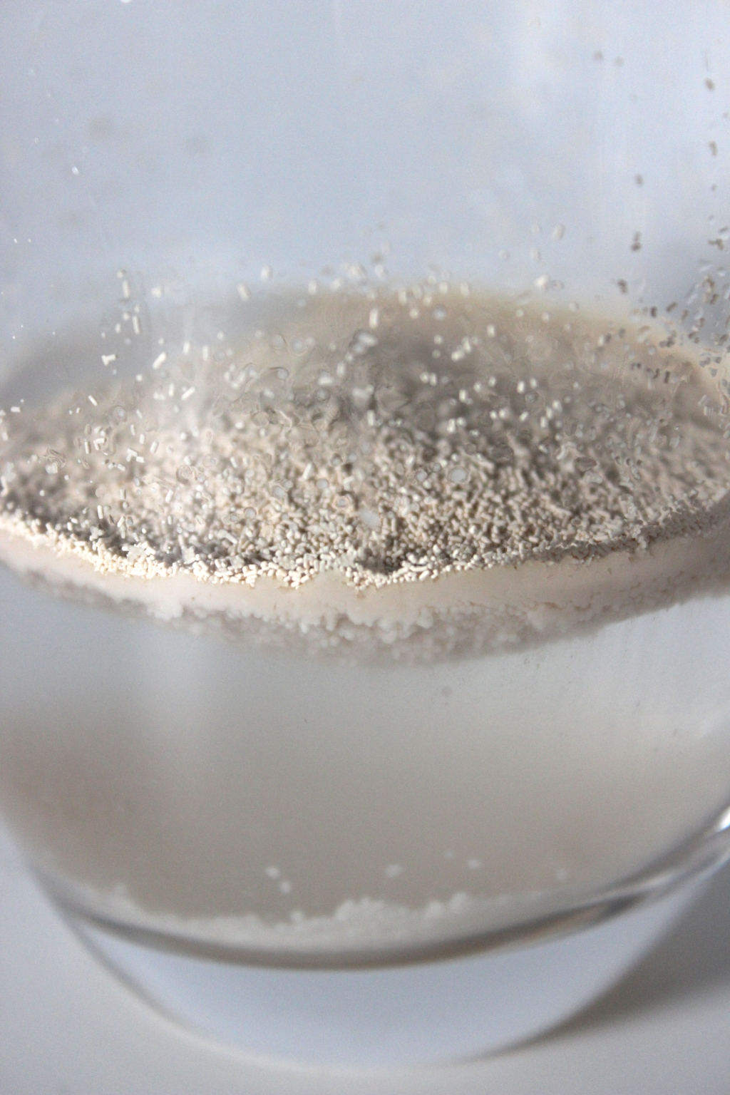 Richtig Trockenhefe rehydrieren, lagern und anstellen!