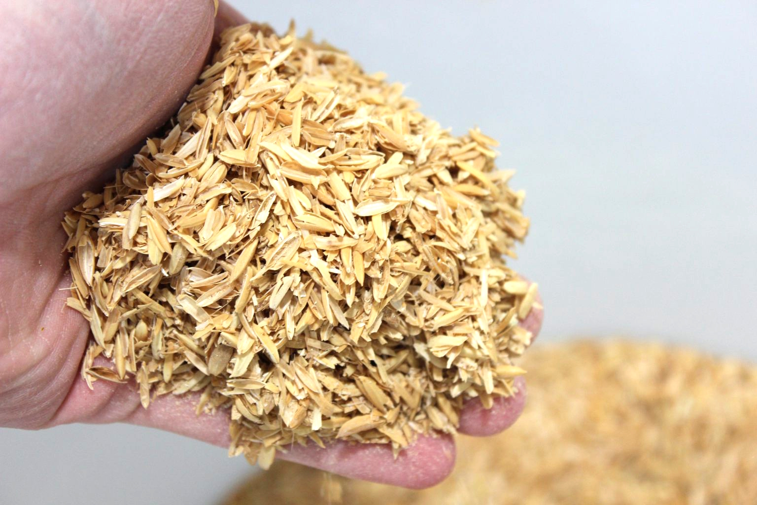 Wacholder Bier Rezept zu Weihnachten? Juniper Rye Bock!