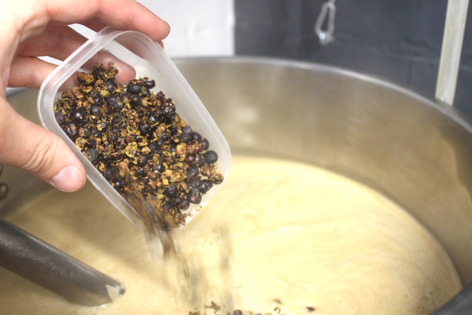 Wacholder Bier Rezept zu Weihnachten? Juniper Rye Bock!
