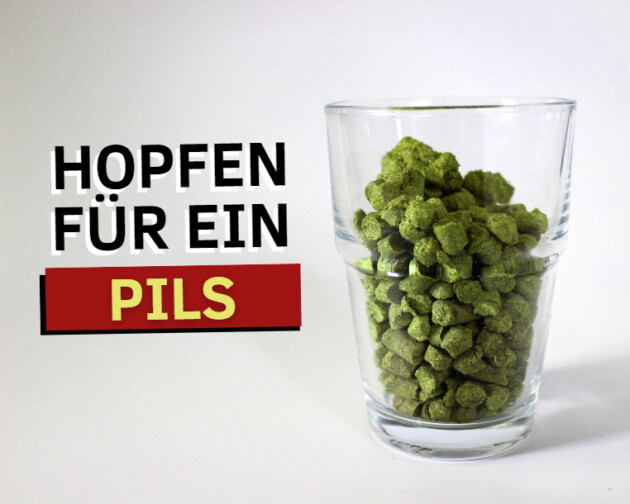 Die wichtigsten Hopfen für ein Pils