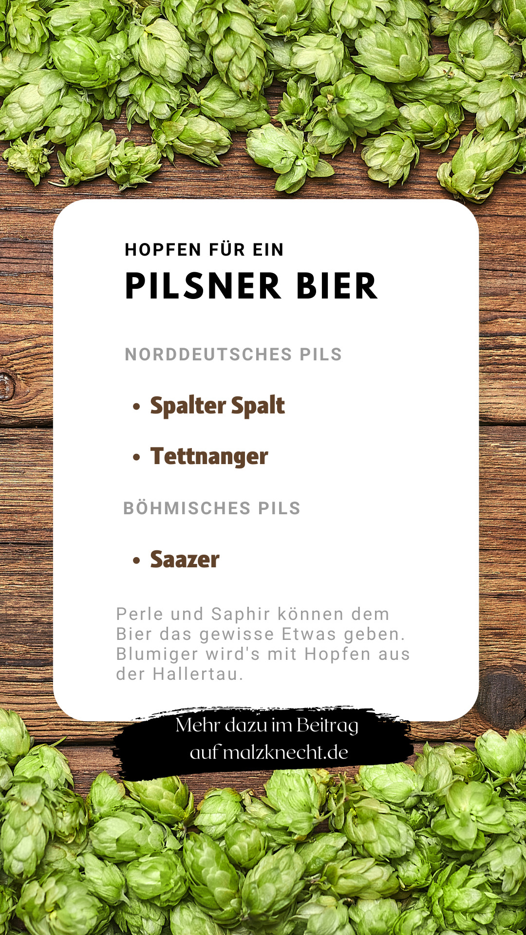 Die wichtigsten Hopfen für ein Pils