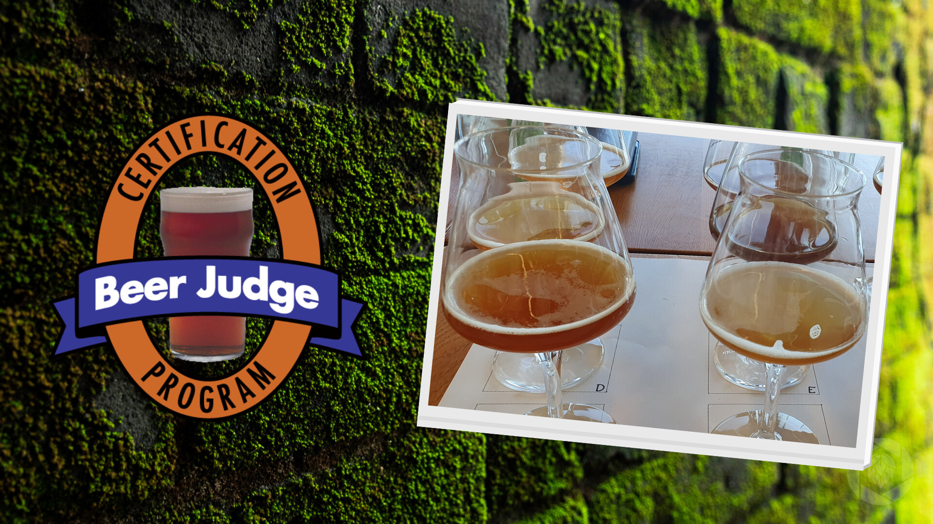 HBCon - Heimbrau Convention in Romrod