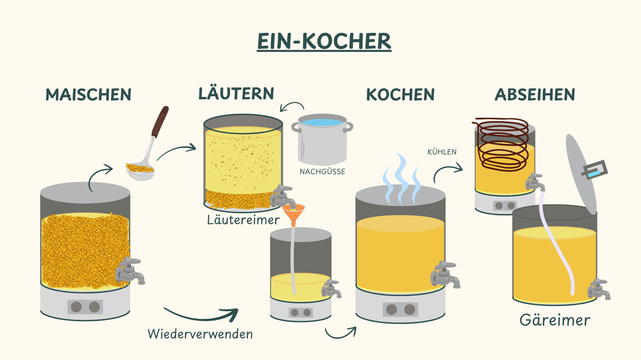Bierbrauen lernen: Der komplette Guide | Malzknecht