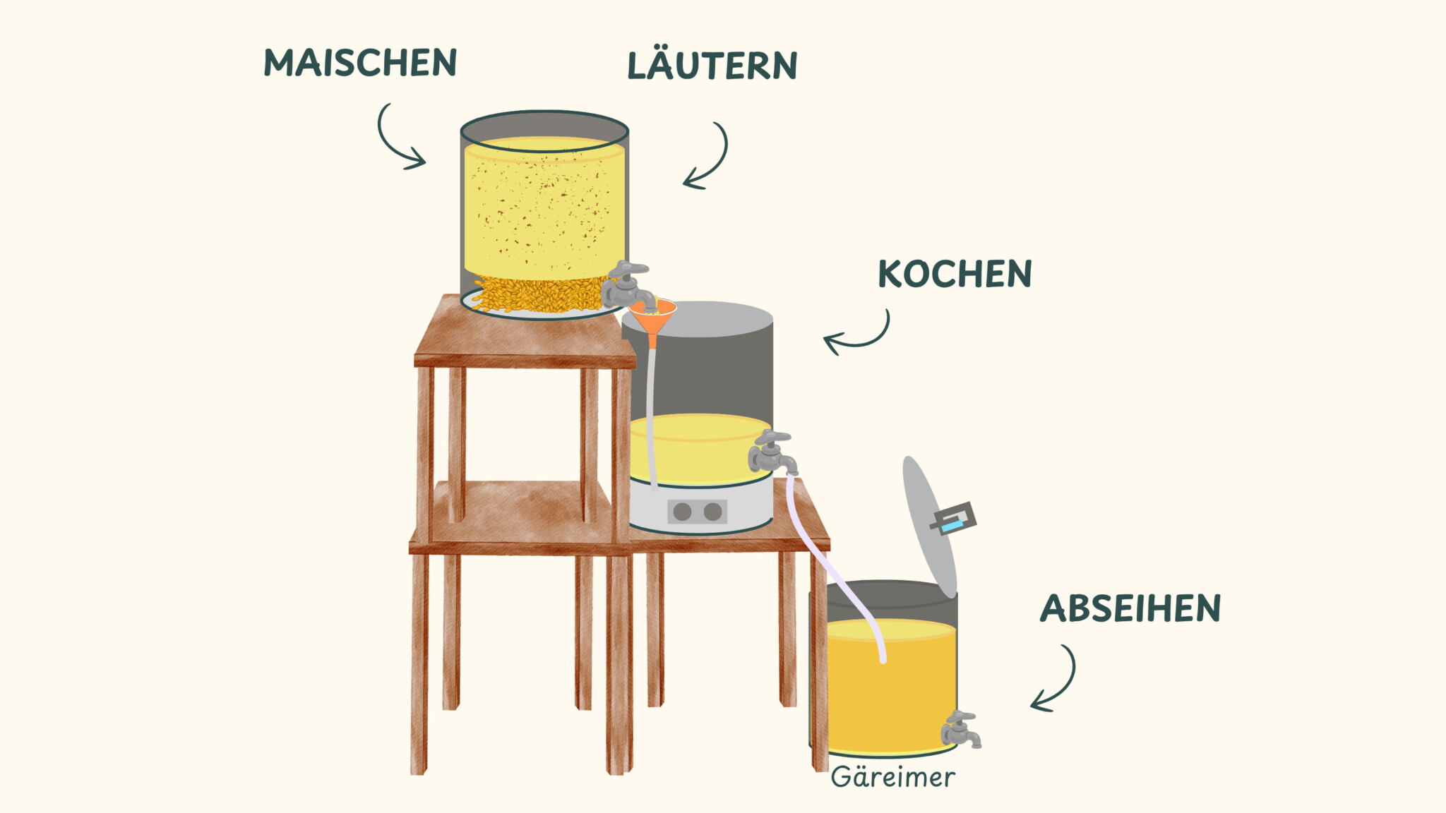 Bierbrauen lernen: Der komplette Guide | Malzknecht