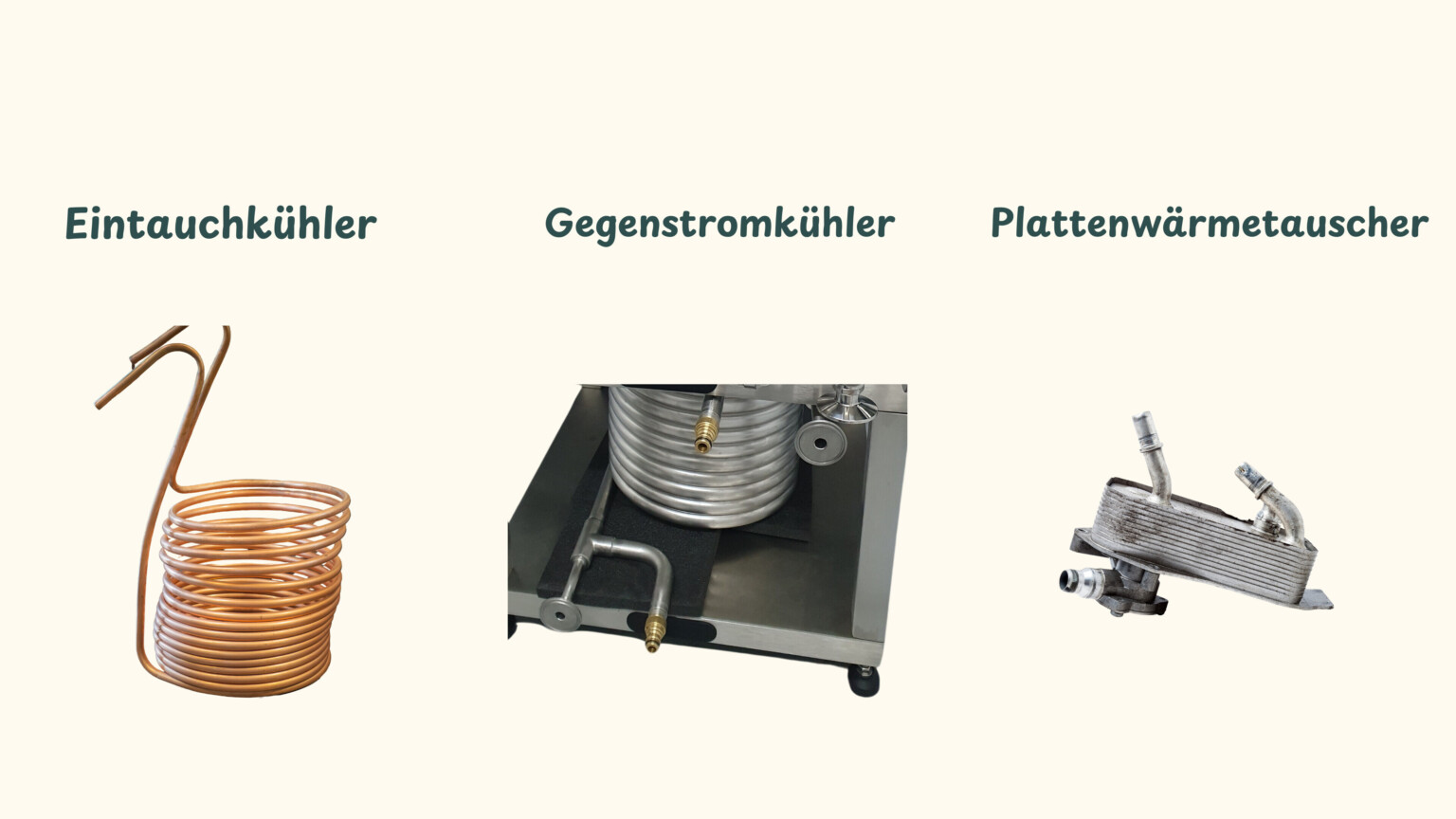 Bierbrauen lernen: Der komplette Guide | Malzknecht